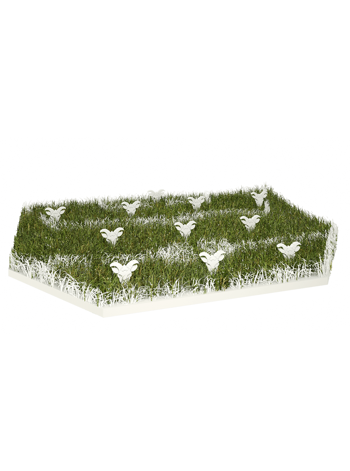 Build you GOATs Team with "First XI" Field | 11GOATS – 11goats